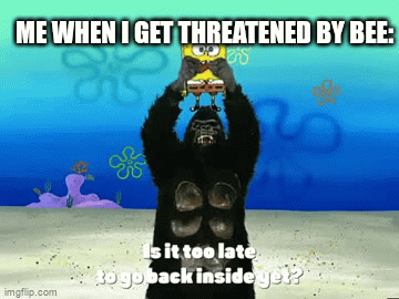 Spongebob Ik Heb Een Ongeluk Gehad Gorilla Welcher Moment In SpongeBob