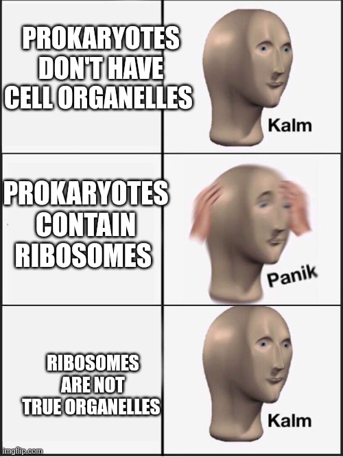 Kalm Panik Calm - Imgflip