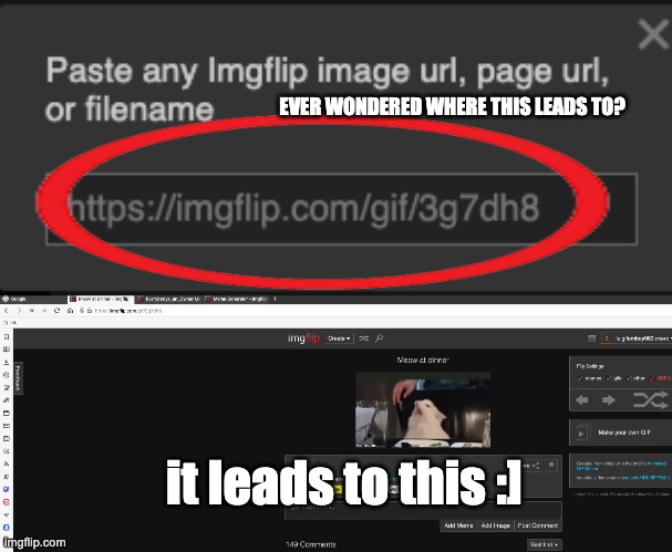 incase you wondered - Imgflip