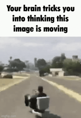 Image tagged in image,this is an image - Imgflip