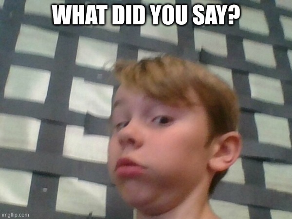 what did you say - Imgflip