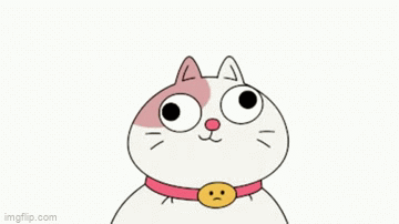 Image tagged in gifs,cat - Imgflip