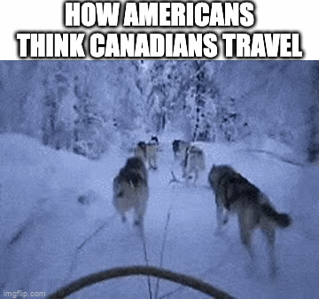 Here in Canada, we use cars. Yes I am Canadian. - Imgflip