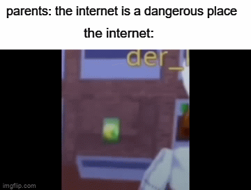 "the internet is a dangerous place" - Imgflip