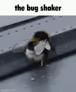 The bug shaker - Imgflip