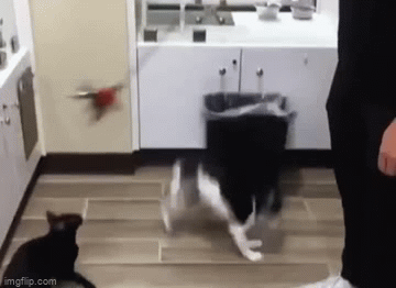 Watch where you jump - Imgflip