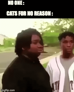 they always do that - Imgflip