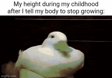 My increase in height during childhood - Imgflip