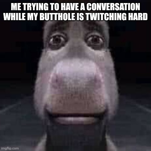 Donkey staring - Imgflip