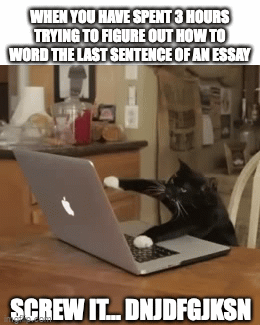 Always the last sentence - Imgflip