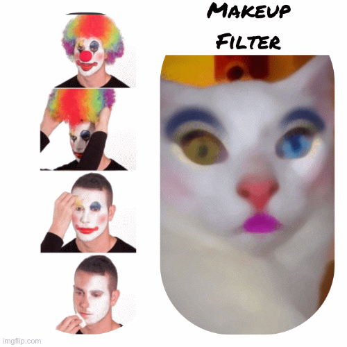 Makeup Filter - Imgflip