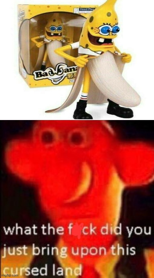 What the fuck did you just bring upon this cursed land - Imgflip