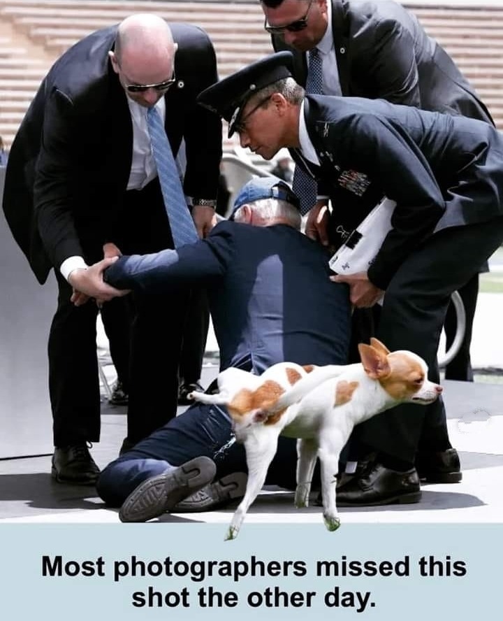 Good doggy! - Imgflip