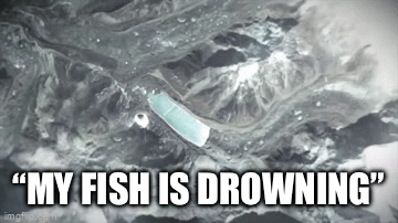 My fish drowning - Imgflip