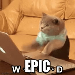 funny cat meme2 - Imgflip