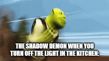 ah yes something normal for a shadow demon - Imgflip
