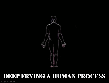 Deep frying a human process - Imgflip