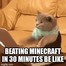 Cat typing - Imgflip