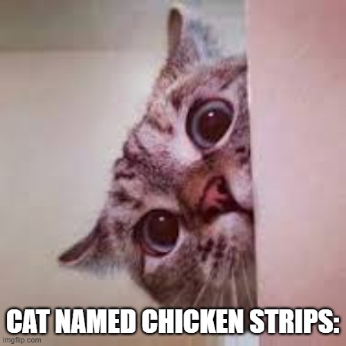 Duolingo 5 in a row - Imgflip