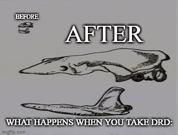 Before and after - Imgflip