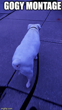 Walkin and talkin presented by gogy - Imgflip