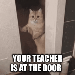 byeeee...... - Imgflip