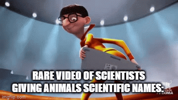 This is how Scientists made Scientific names - Imgflip