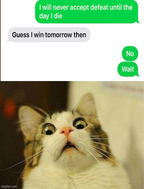 Scared Cat Meme - Imgflip