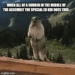 Special Ed - Imgflip