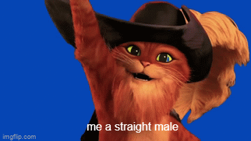 I'm not gay but 20 dollars is 20 dollars - Imgflip