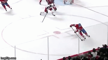 Hockey Fan Hit - Imgflip