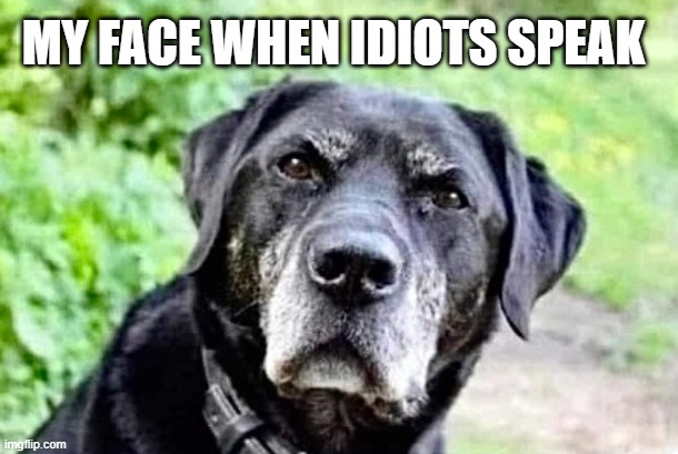 Imgflip