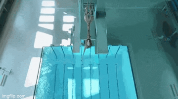 Diving - Imgflip