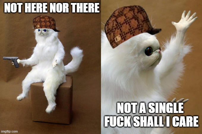 Persian Cat Room Guardian Meme - Imgflip