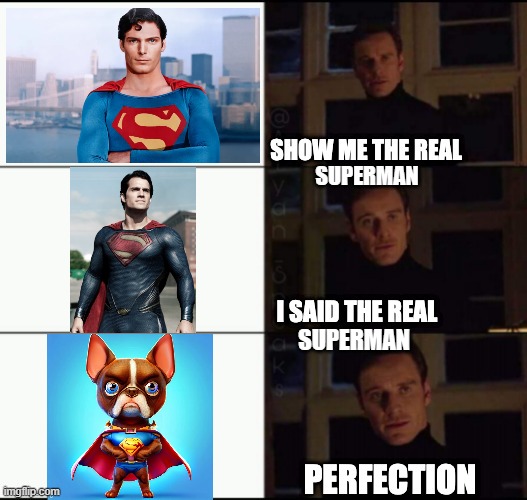 Show me the real - Imgflip