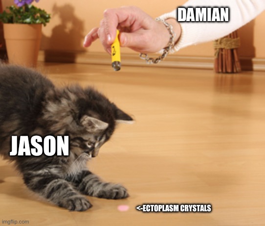 cat laser pointer - Imgflip