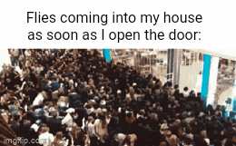 Meme #1,983 - Imgflip