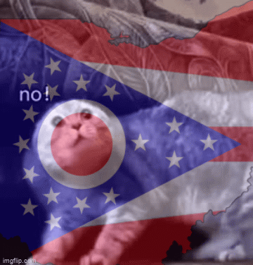 Most normal cat in Ohio - Imgflip