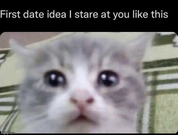 Image tagged in memes - Imgflip