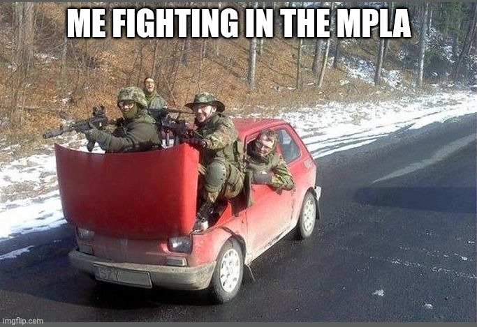 Raiden Cat - Imgflip