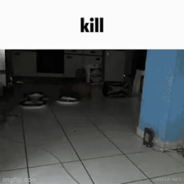 Animated GIF - Imgflip