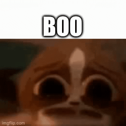 Why tf are you reading the title? - Imgflip