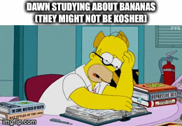 Homer study - Imgflip