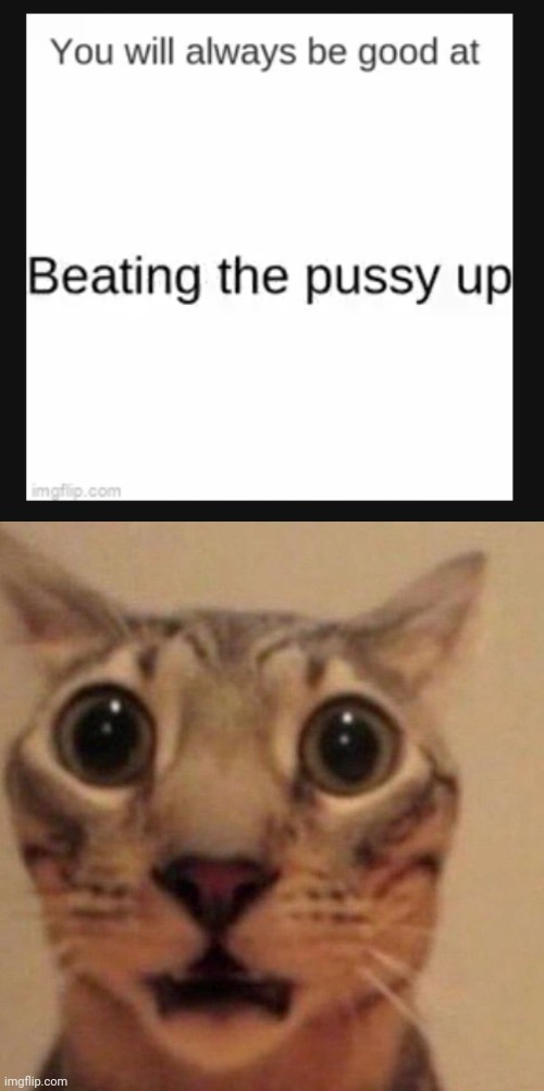 screenshot - Imgflip