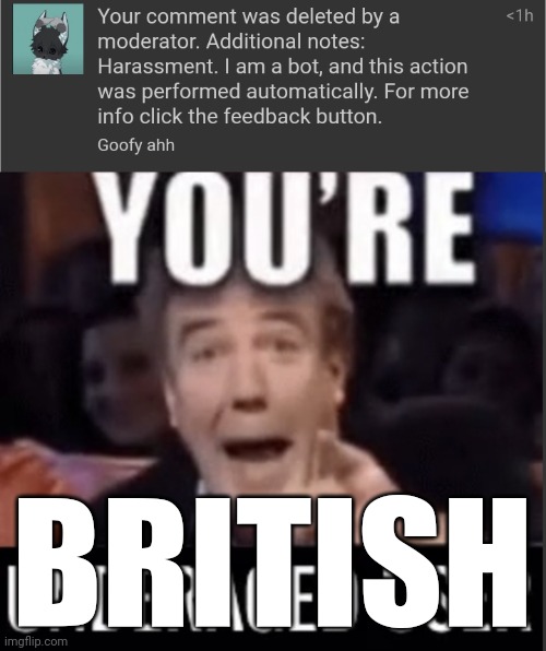 Image tagged in you re underage user,british,comment - Imgflip