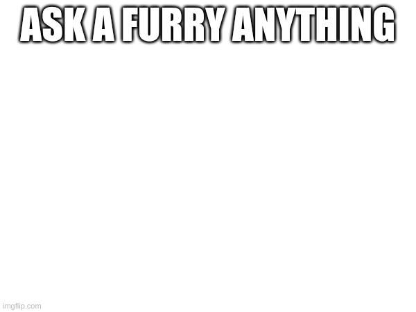 ask a furry Memes & GIFs - Imgflip