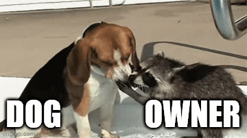 What are you eating? - Imgflip