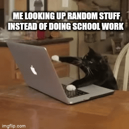 But school work is boring! - Imgflip