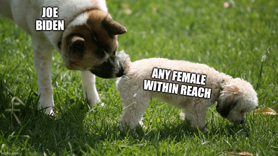 He’s a compulsive sniffer… - Imgflip