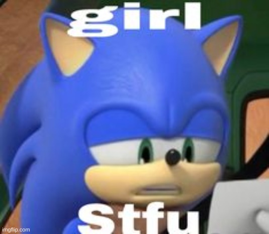 Image tagged in sonic girl stfu - Imgflip